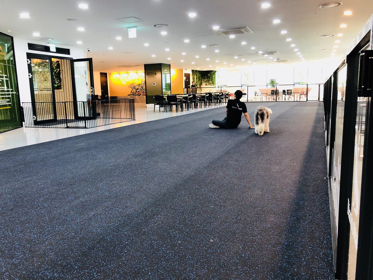 칸쵸 (@kancho_mongmong) | Twitter