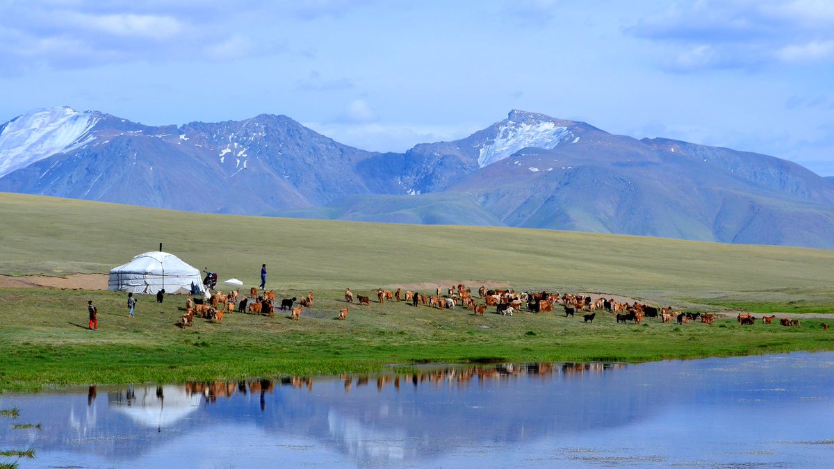 Mongolian Nature