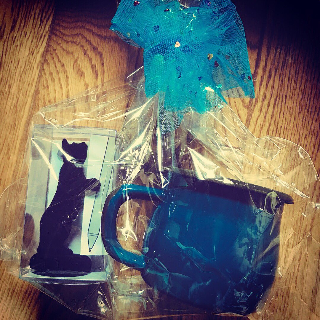 Catobyte (@Catobyte) | Twitter