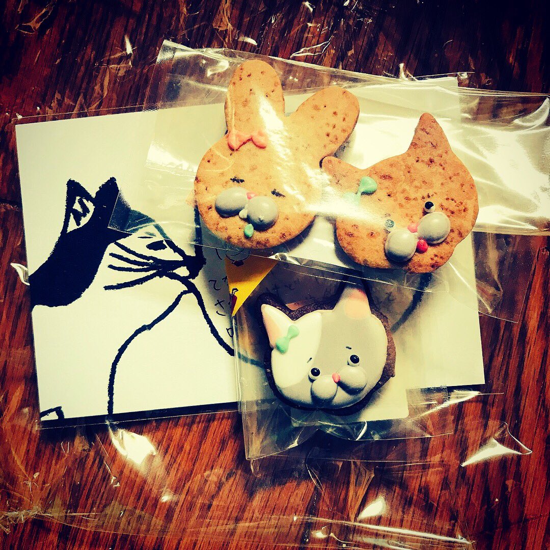 Catobyte (@Catobyte) | Twitter