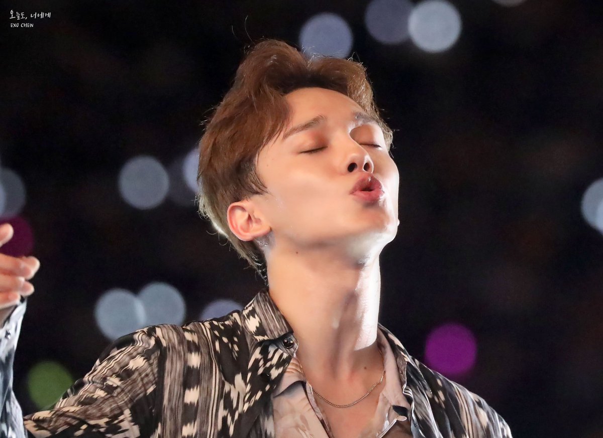 Exo Chen Lips