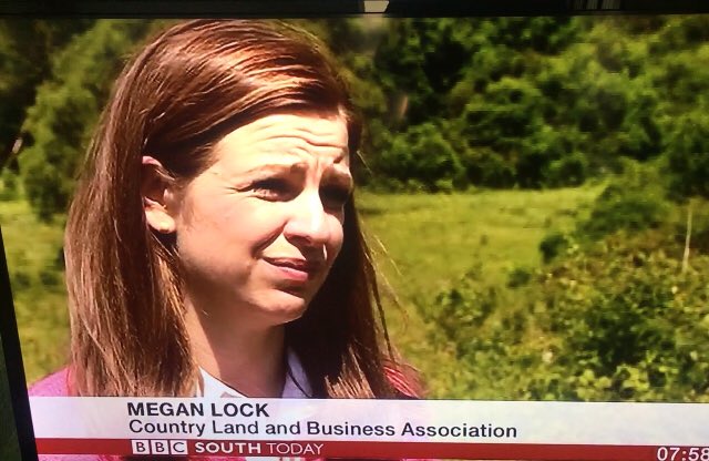 Megan Lock's Instagram, Twitter & Facebook on IDCrawl