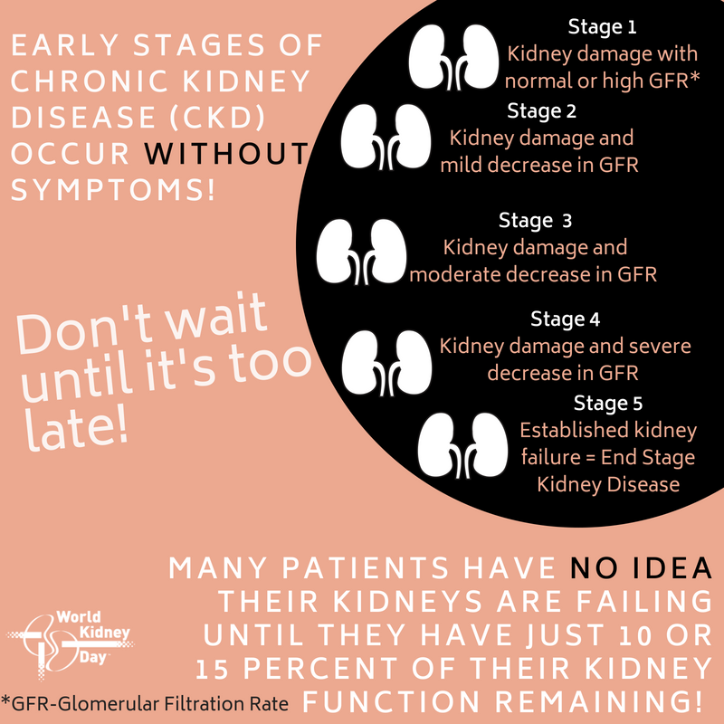 Chronic Kidney Disease Poster