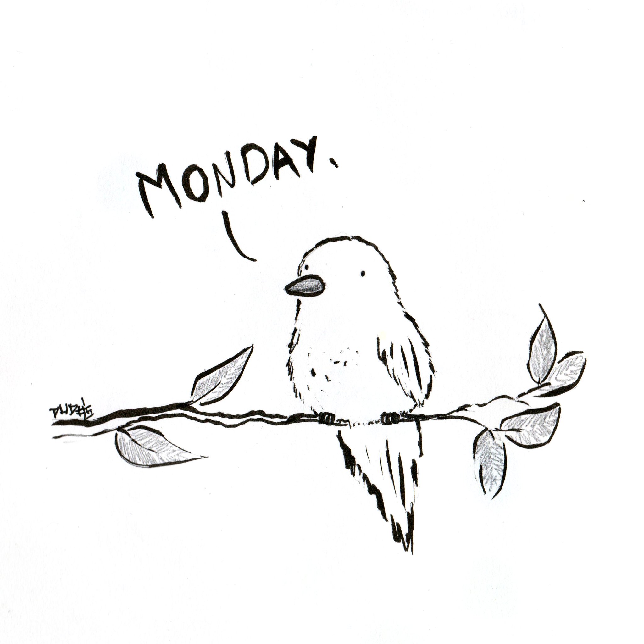 Re: Bird's Nest - July 2025 - Page 18 - Blogs & Forums