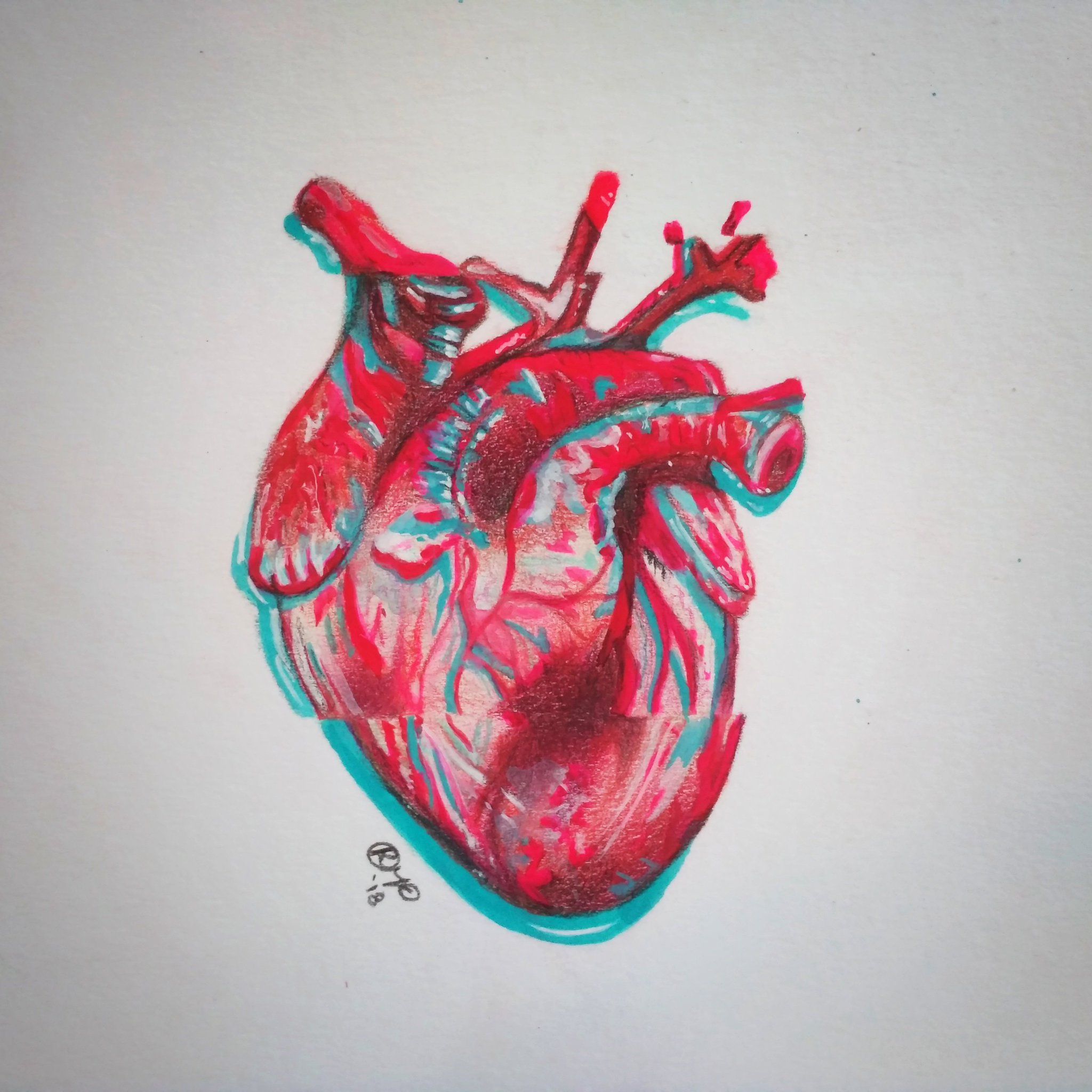 Pencil Drawing Of A Real Heart