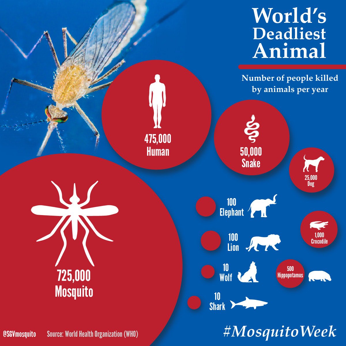 The Worlds Deadliest Animal