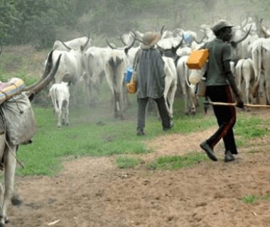 Aniekan Umoh (@AniekanUmoh3) | Twitter