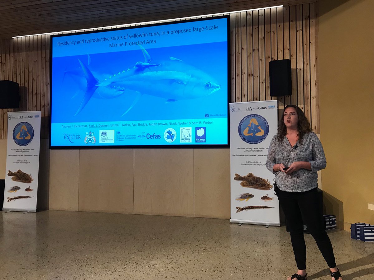 Kate Downes's Instagram, Twitter & Facebook on IDCrawl