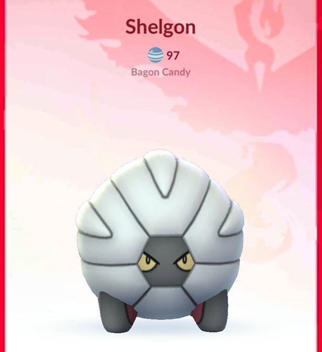Shelgon - Pokemon Go