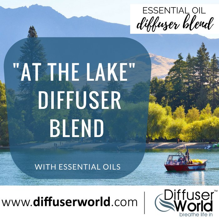Diffuser World Oil Diffusers (@DiffuserWorldUS) | Twitter