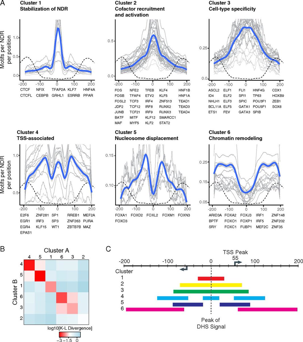 Ralf Gilsbach (@Ralf_Gilsbach) | Twitter
