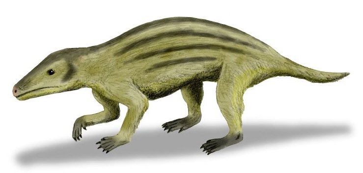 Extinct Monotremes