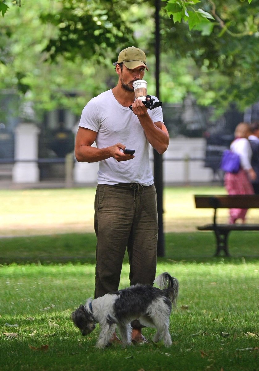 David Gandy And Dog