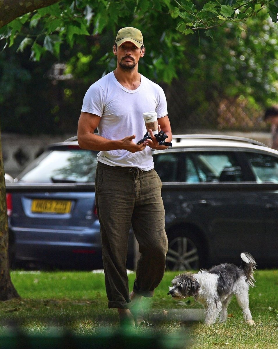 David Gandy And Dog