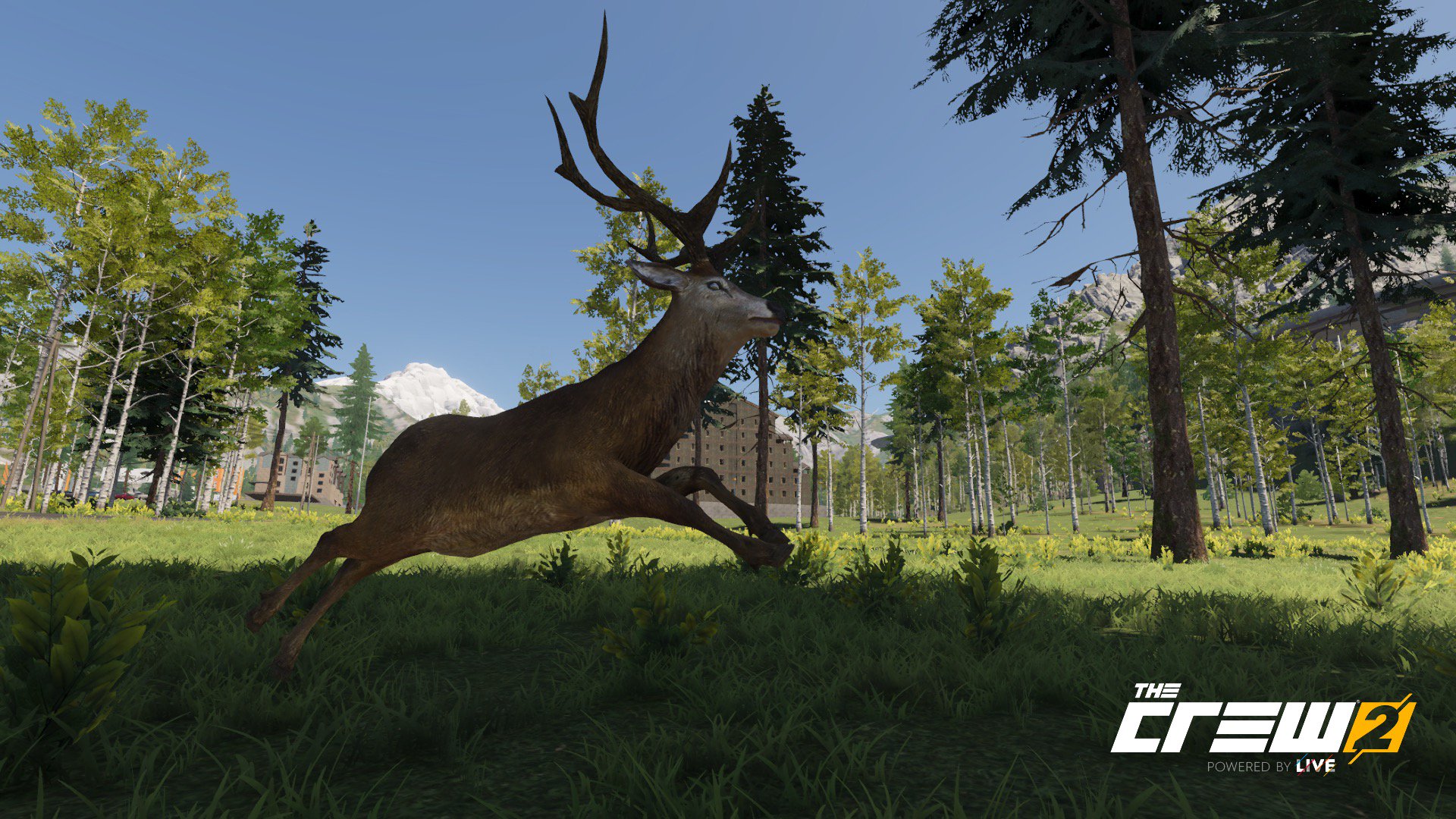 [REVIEW] The crew 2 | cd_BE