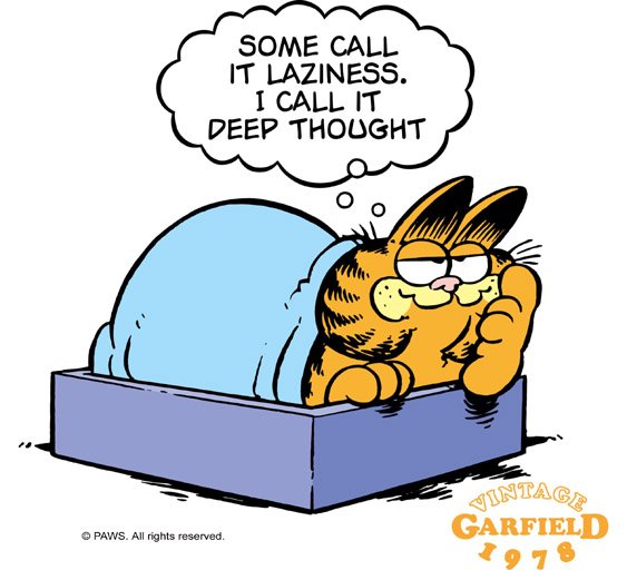 Garfield Face Down Bed