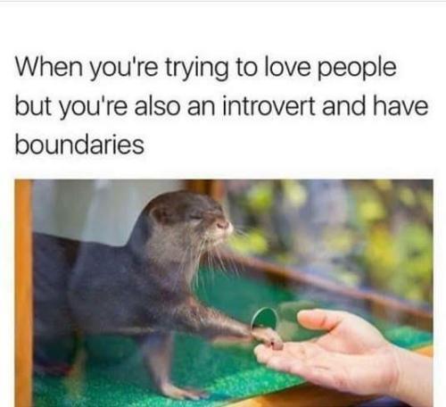 Funny Memes on Twitter: "Now go away #Memes #meme…