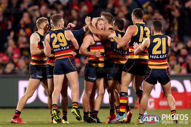 David Colangelo (@coldy007) | Twitter