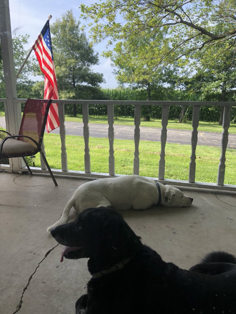 Jack Kiley (@Jack_Kiley) | Twitter