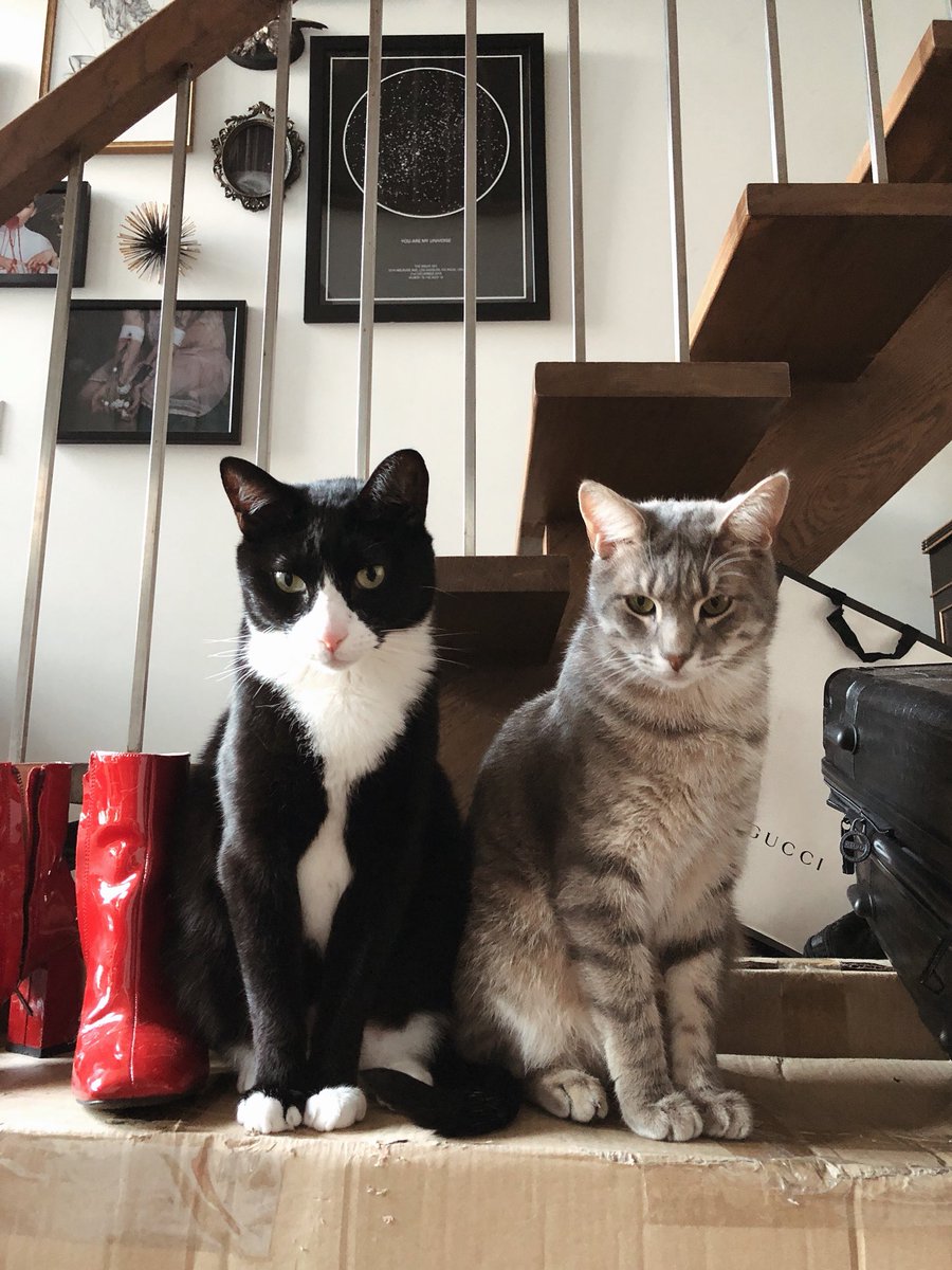 881 best Boiz images on Pholder | Grimdank, Memes Of The Dank and Aww