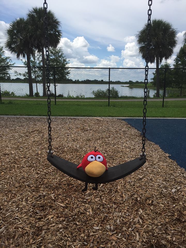 The Big Wide World Peep And As Humans