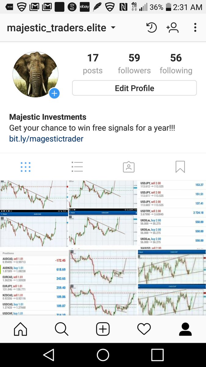 Majestic Trader (@TraderMajestic) | Twitter