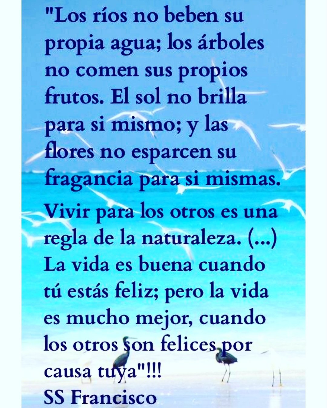 David Blázquez León on Twitter: David Blázquez León on Twitter: