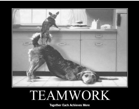 Cute Teamwork Pictures