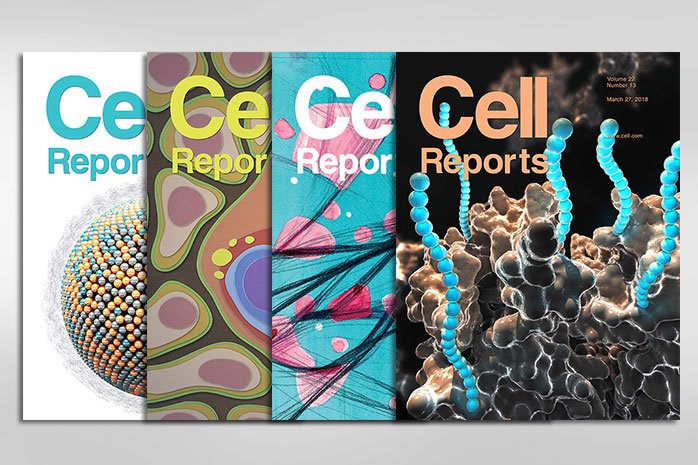 Cell Career Network (@CellCareers) | Twitter