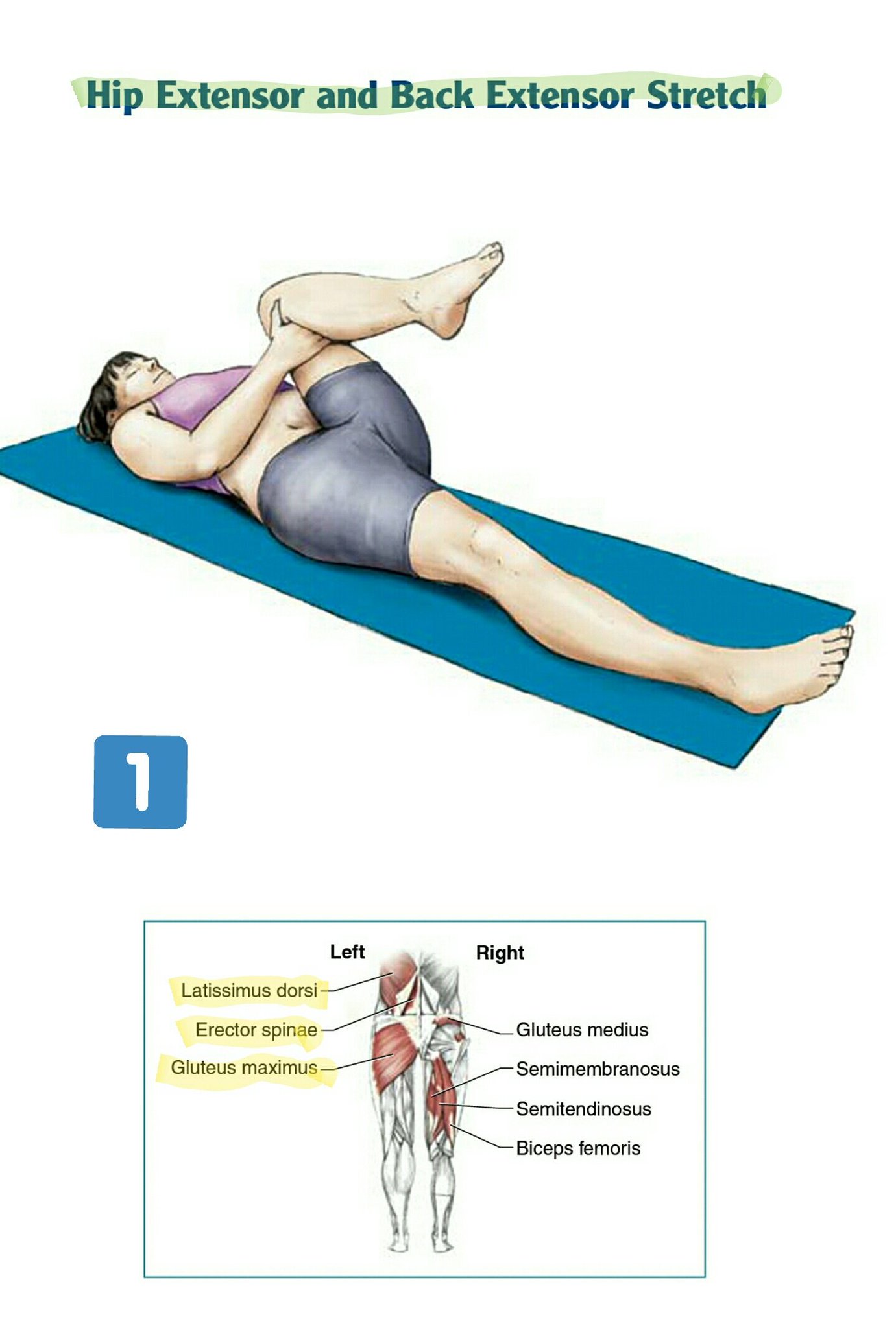 Back Extension Stretch