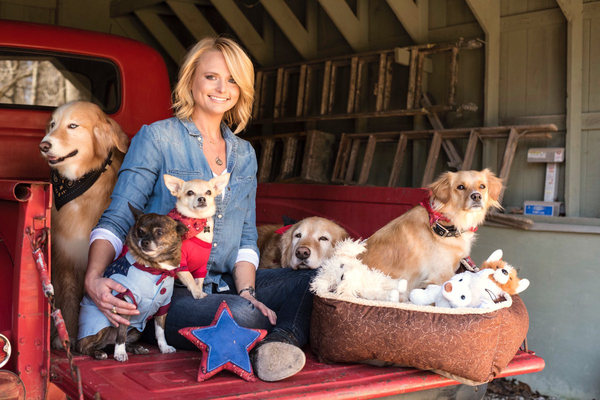 58 best Twitter @muttnation images on Pholder | Too true 😭