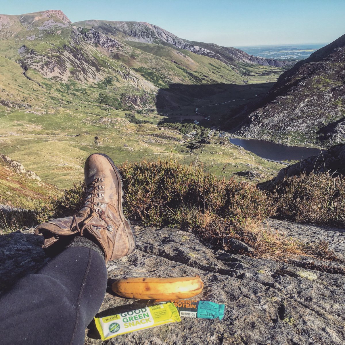 6 best Twitter @ness_knight images on Pholder | “Be fearless in the ...