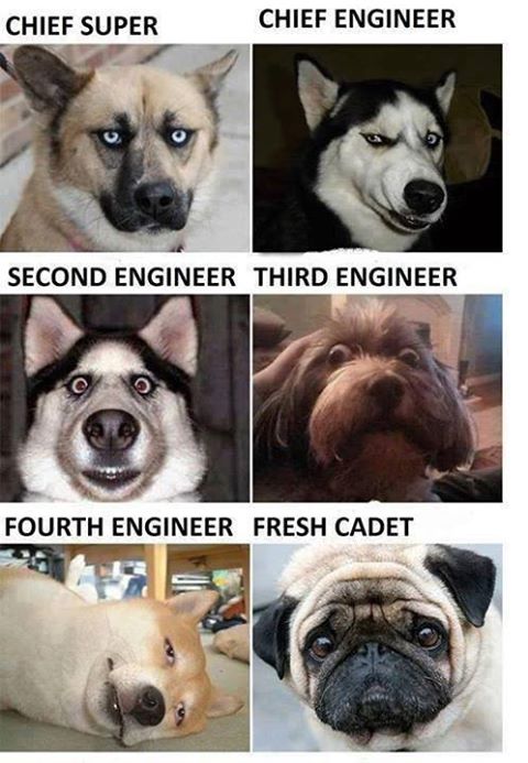 Marine Engineer Meme