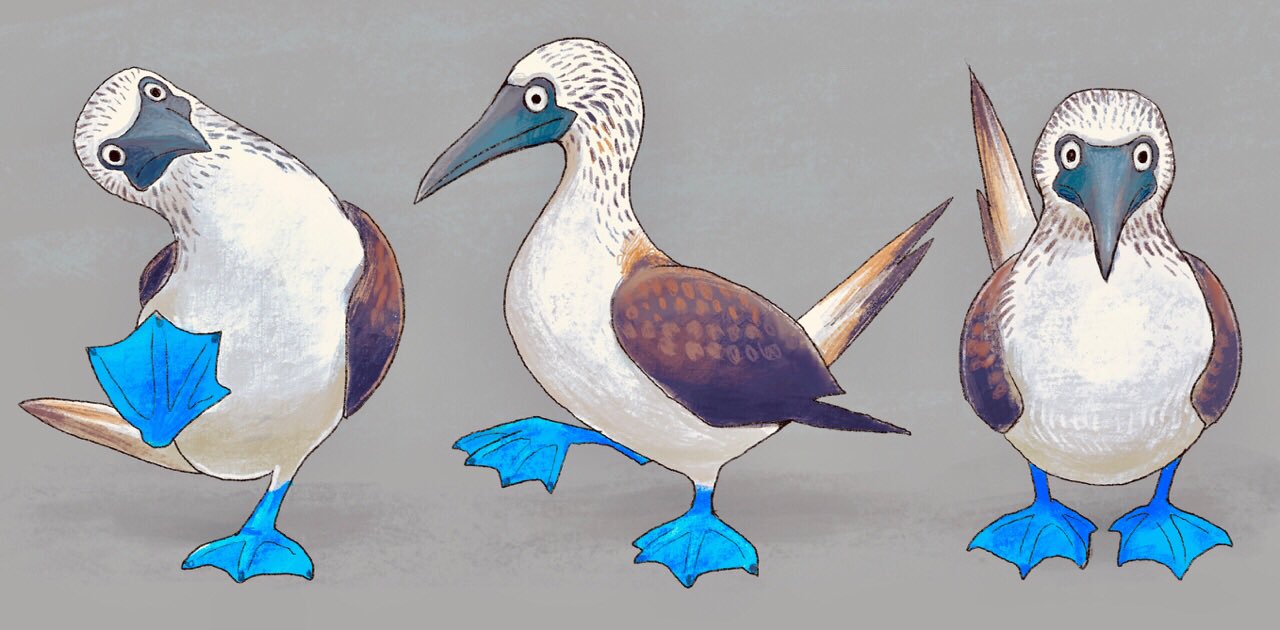 Blue footed booby - 3D model by ka92 [14b4cc4] - Sketchfab