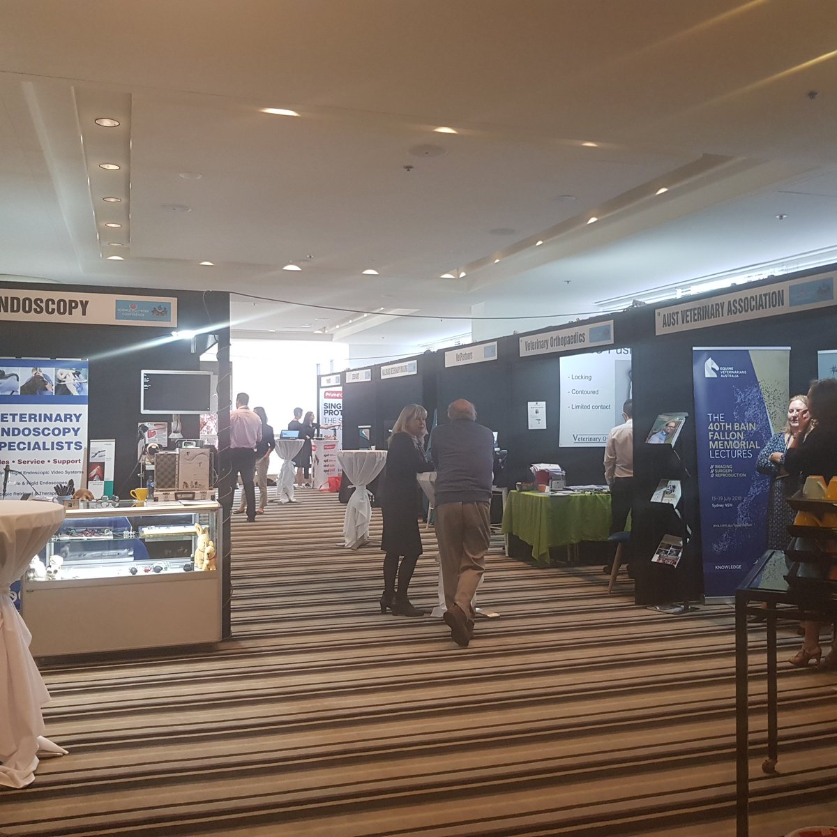 Zoe Lenard (@ZMLenard) | Twitter