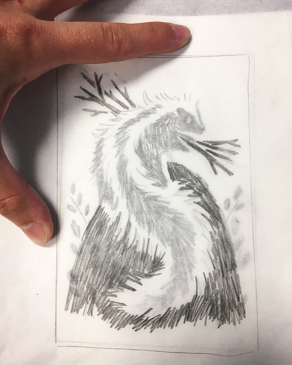 「we sketched our two color plates onto tracing paper then tra」Lauren ...