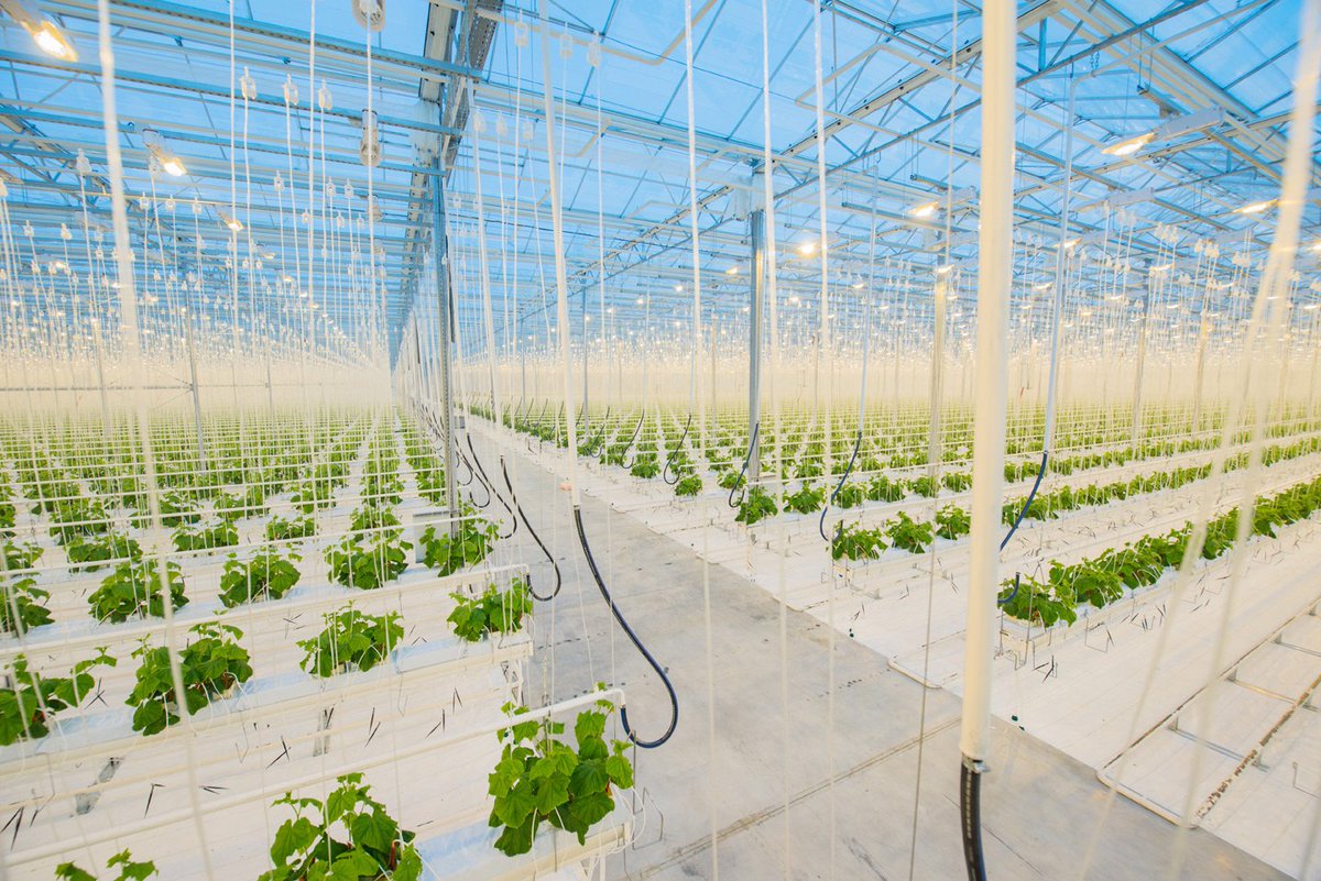 Rajeev Pathria (@twtrajeev) | Twitter