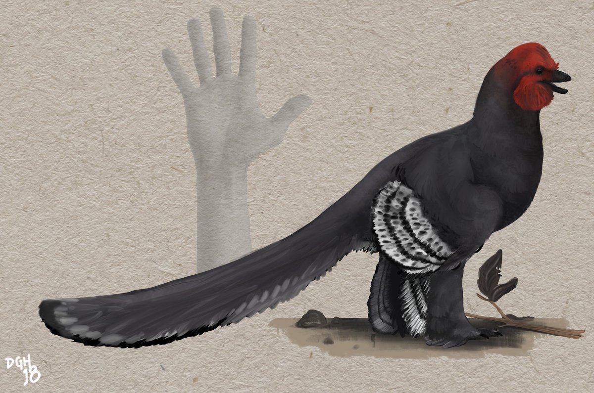 Daniel Goitom (@McBlackneck) さんのイラスト・マンガ作品まとめ (9 件) - Twoucan