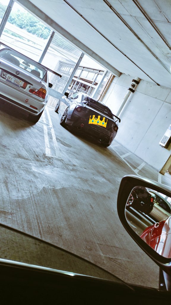 Mori (@MoriMutt) | Twitter