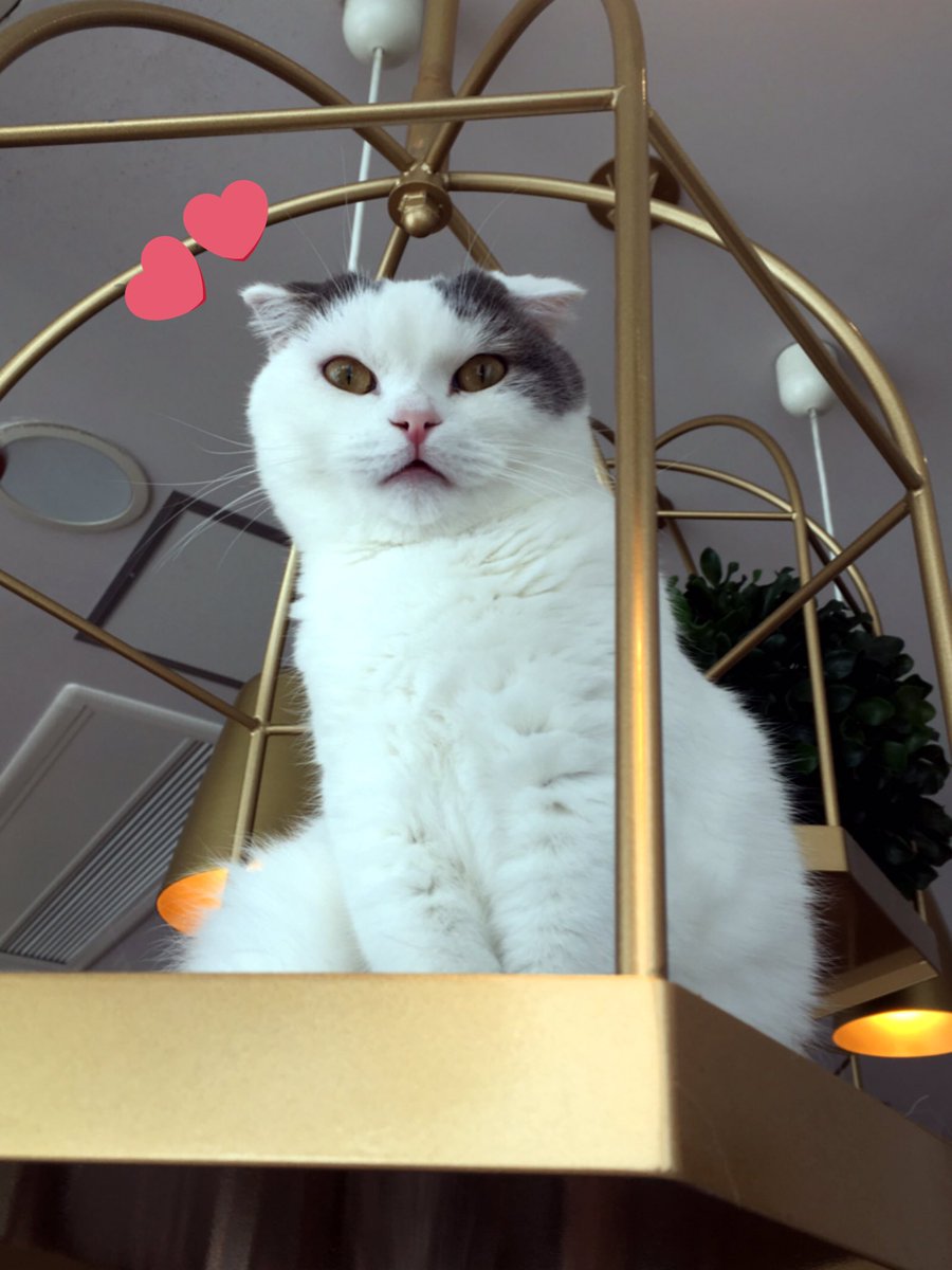 ゆり (@zero_krkrkr) | Twitter