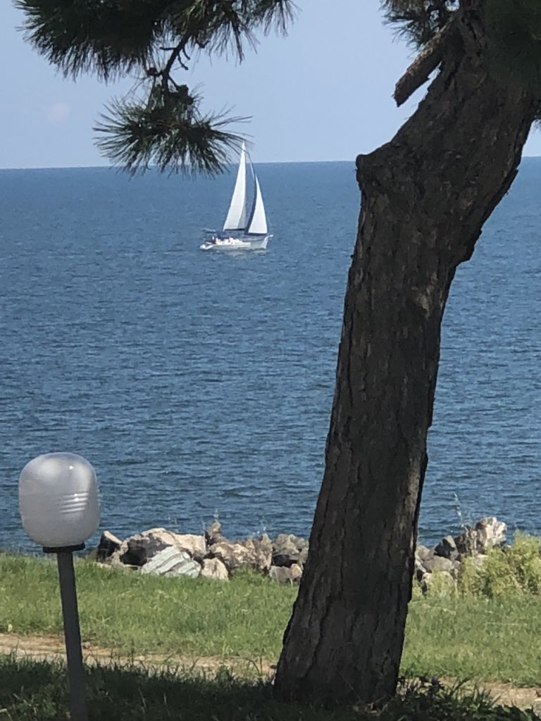 Mihaela Munteanu (@MihaelaMuntean7) | Twitter