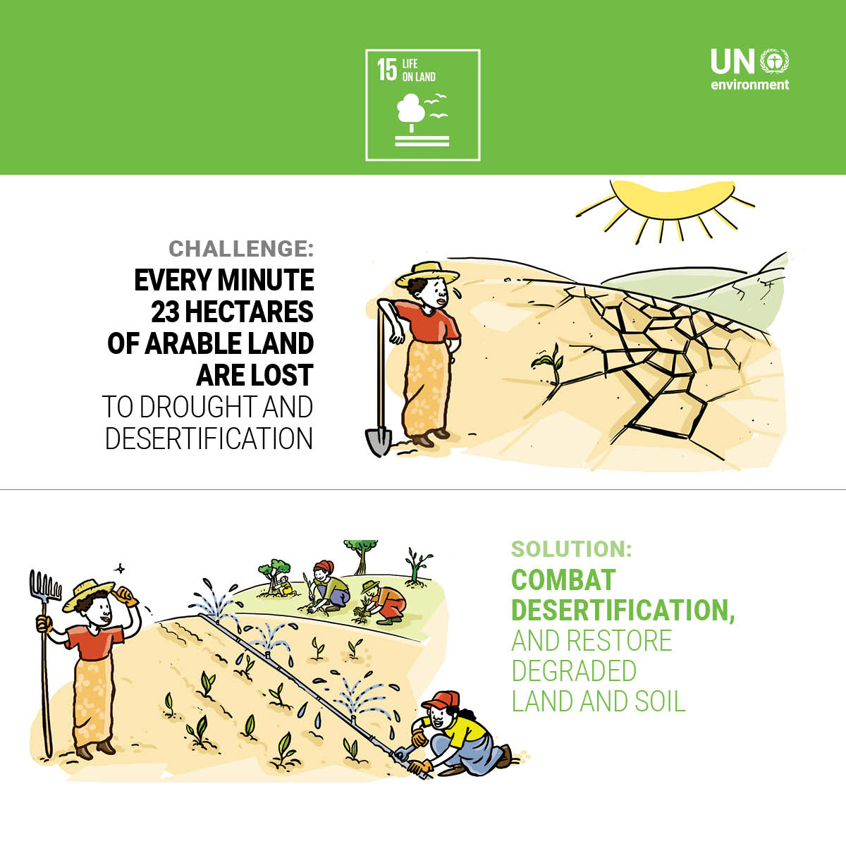 Desertification Solutions