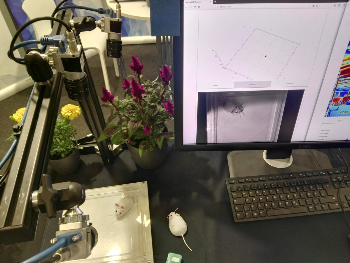 KordingLab on Twitter: "If you are a movement scientist you need to get into video based pose ...