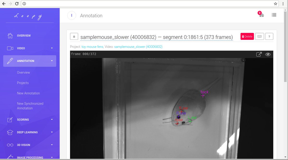 KordingLab on Twitter: "If you are a movement scientist you need to get into video based pose ...