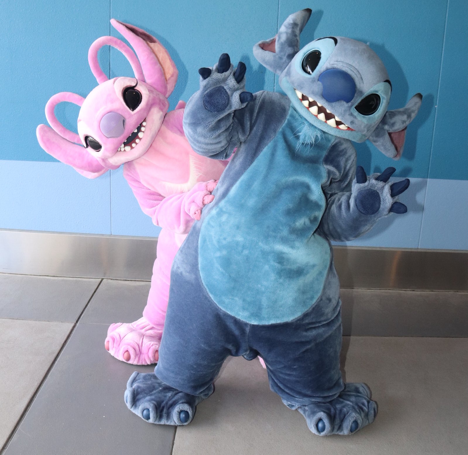 Park And Stitch Angel