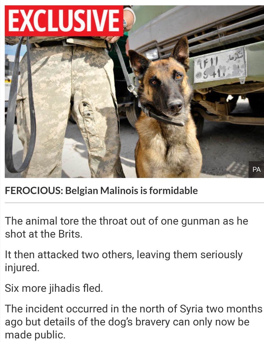 BŁΛCKŠTØŔM (@Blackstorm_Stat) | Twitter