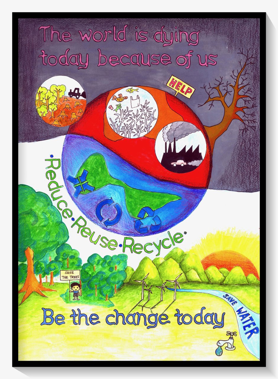 Deforestation Educational Poster