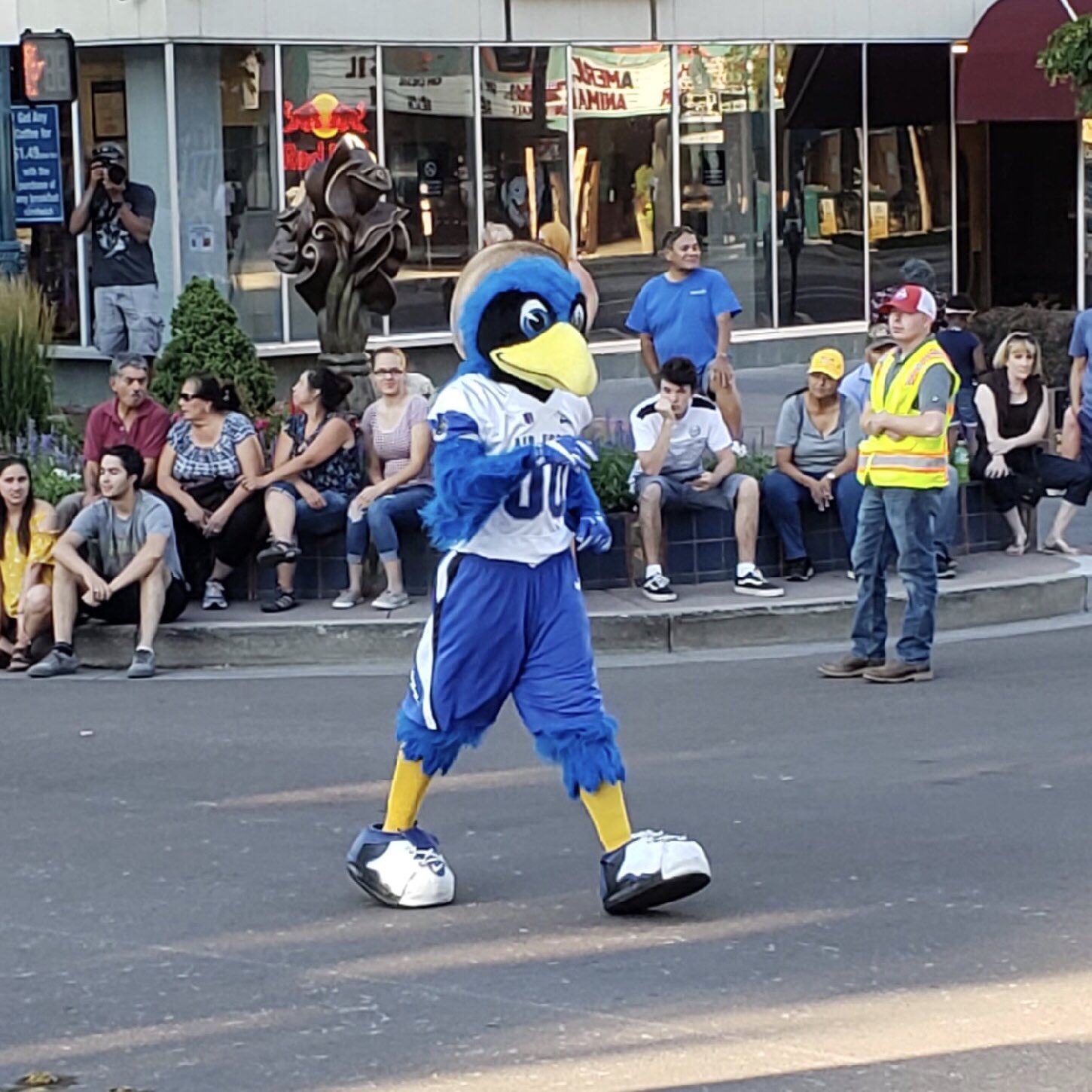 Usafa Mascot