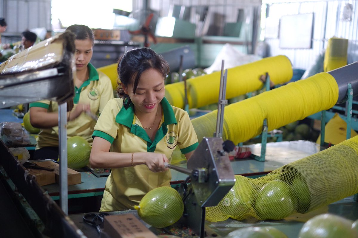 Logistics Mono (@Logisticsmono) | Twitter