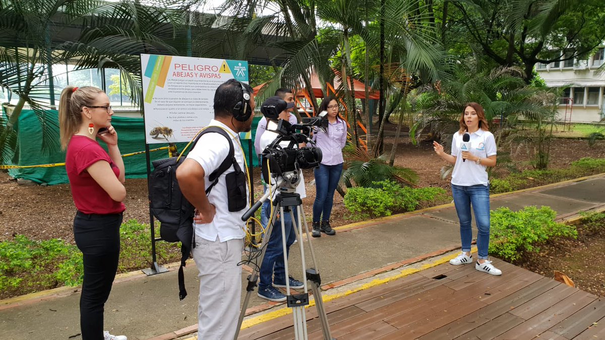 salomia : Últimas noticias y actualidad en vivo | Scoopnest